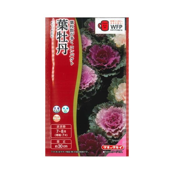 ★葉枚数が多くコンパクト！