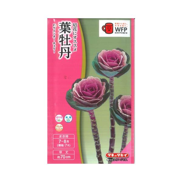 ★冬の切花として重宝
