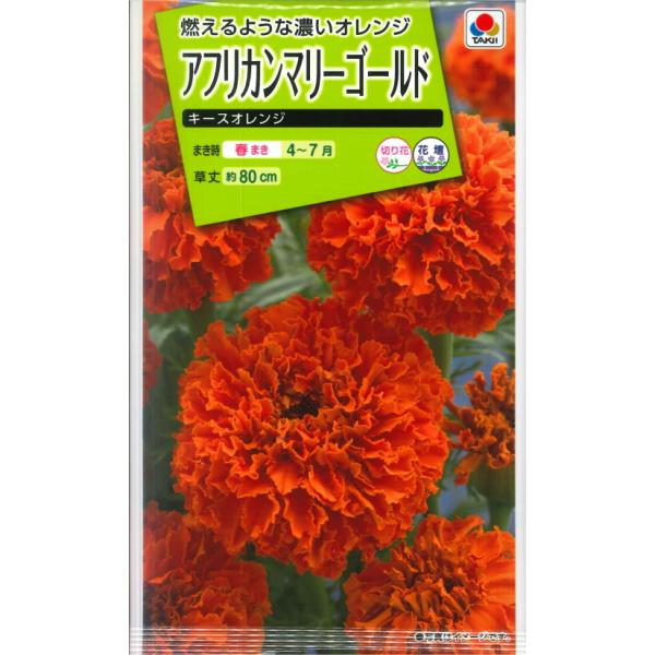 ★燃えるような濃い赤いオレンジ