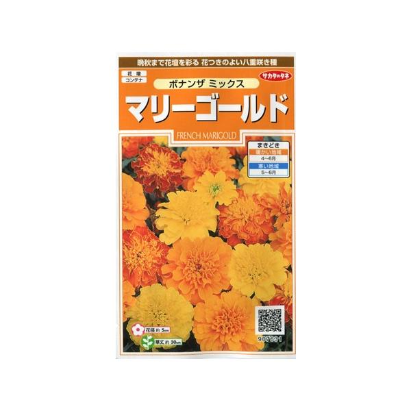 ★晩秋まで花壇を彩る花付きのよい八重咲き種