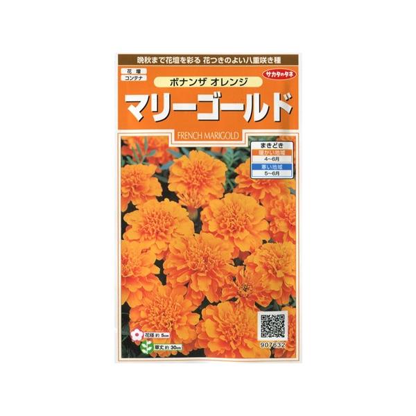 ★晩秋まで花壇を彩る花付きのよい八重咲き種