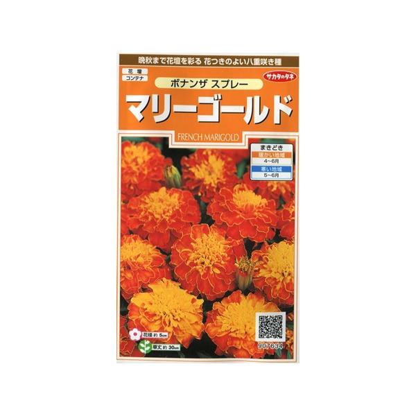★晩秋まで花壇を彩る花付きのよい八重咲き種