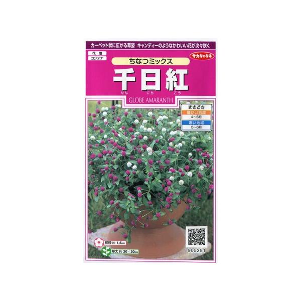 ★カーペット状に広がり草丈約20cmと低いまま旺盛に株張り