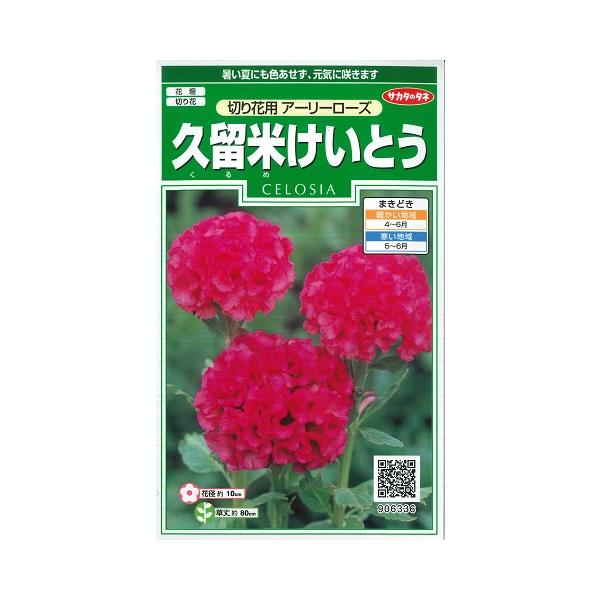 ★暑い夏にも色あせせず元気に咲きます