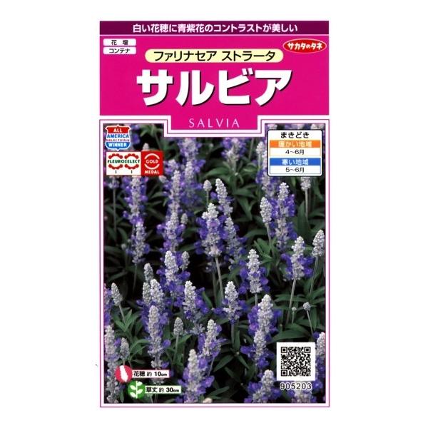 ★白い花穂に青紫花のコントラストが美しい