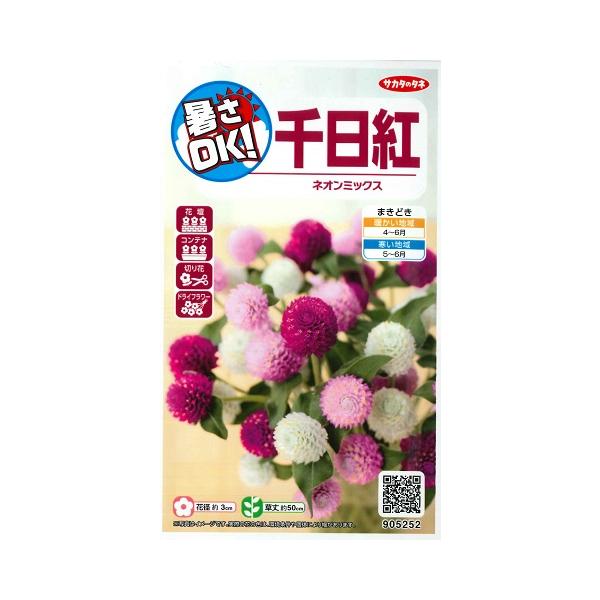 ★夏を彩るネオンが輝くような色とりどりの花