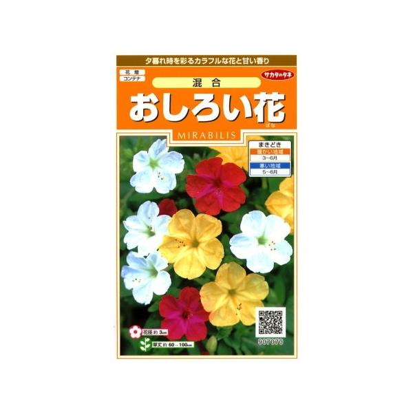 ★夕暮れ時を彩るカラフルな花と甘い香り