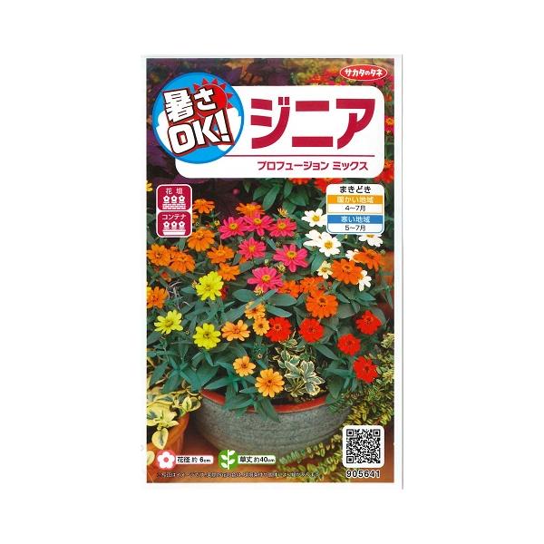 ★暑さや病気に強く秋まで咲き続けます