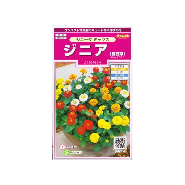 ★コンパクトな草姿にキュートな半球状の花