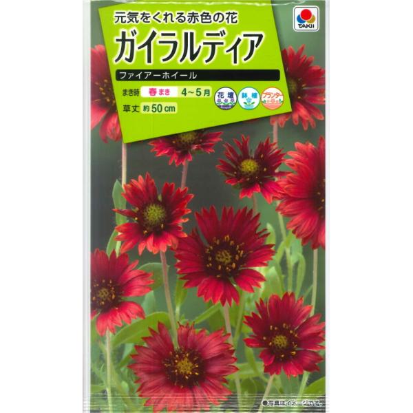 ★元気をくれる赤色の花