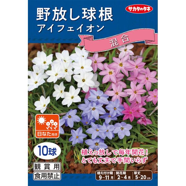 植えたままでふえていく、とても丈夫で手間いらず