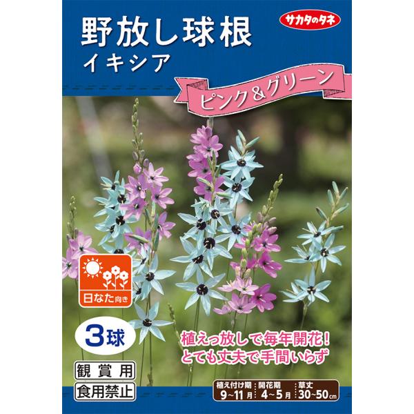 植えたままでふえていく、とても丈夫で手間いらず