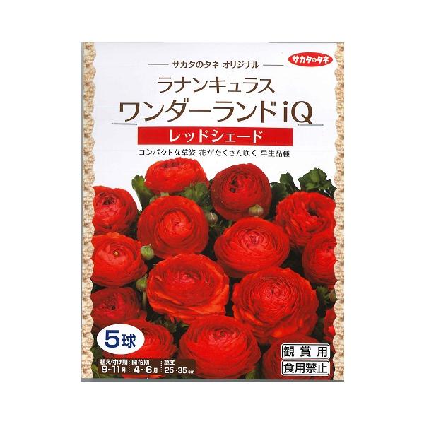 コンパクトな草姿　花がたくさん咲く　早生種