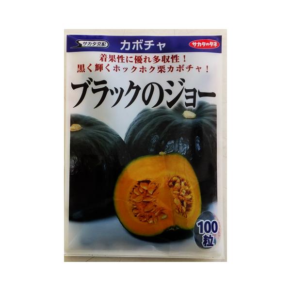 話題の新品種！黒く輝くホクホク栗カボチャ