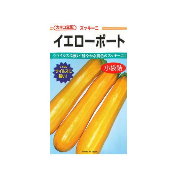 色鮮やかな黄色のズッキーニ！肉料理、カレー、パスタなどに♪