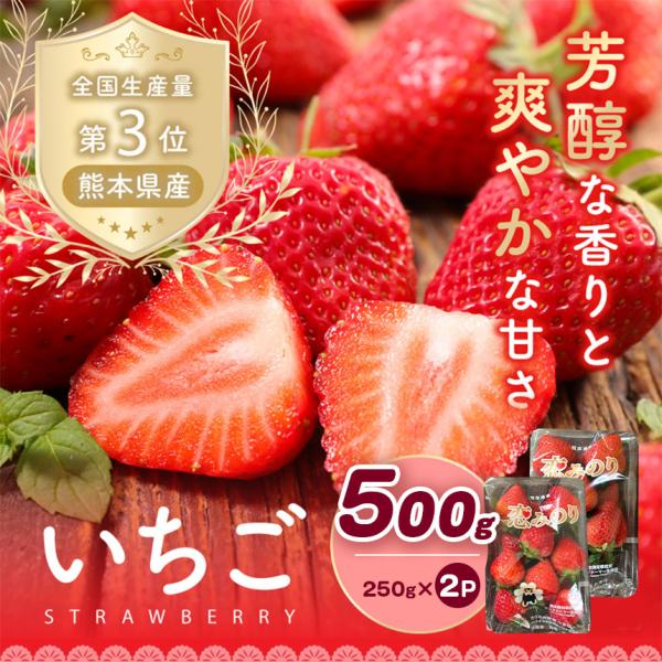 【発売日：2027年01月12日】【先行予約】熊本県玉名市産いちご 約500g（約250g×2パック）。品種お任せの国産いちごを、少人数で楽しみやすい2パックでお届け。そのままのおやつや食後のデザート、ヨーグルトのトッピングに。【予約受付】...