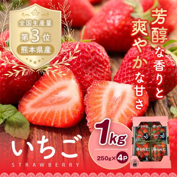 【発売日：2027年01月12日】【先行予約】熊本県玉名市産いちご 約1kg（約250g×4パック）。品種お任せの国産いちごを、家族で分けて楽しみやすい4パックでお届け。そのままのおやつや食後のデザート、ヨーグルトやパンケーキのトッピングに...