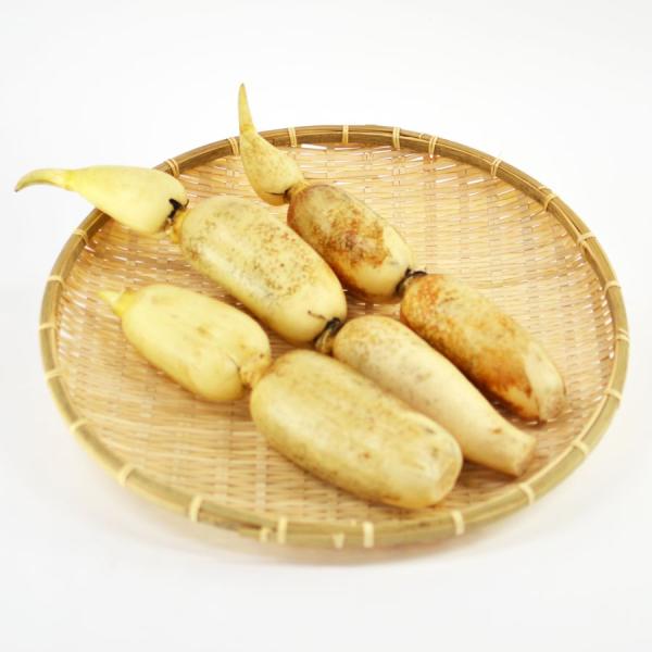 茨城産 2k