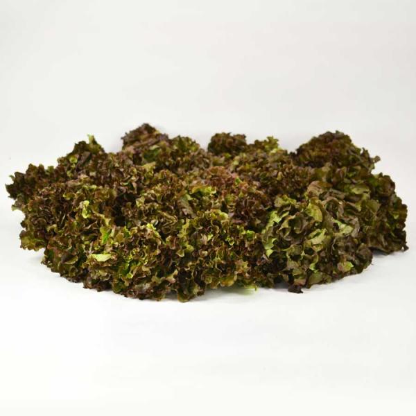 長野県他 4.5k程度