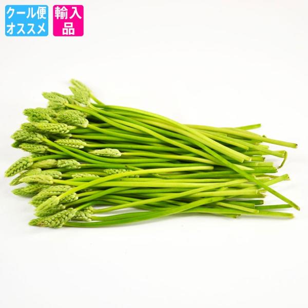 フランス産他 約200g 4月〜5月くらい