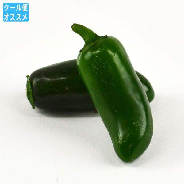 茨城産　２本（40Ｇ程度）