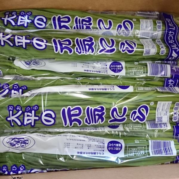 栃木県 100ｇ入り