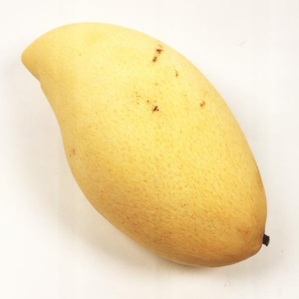 タイ産ナムドクマイ種　1個