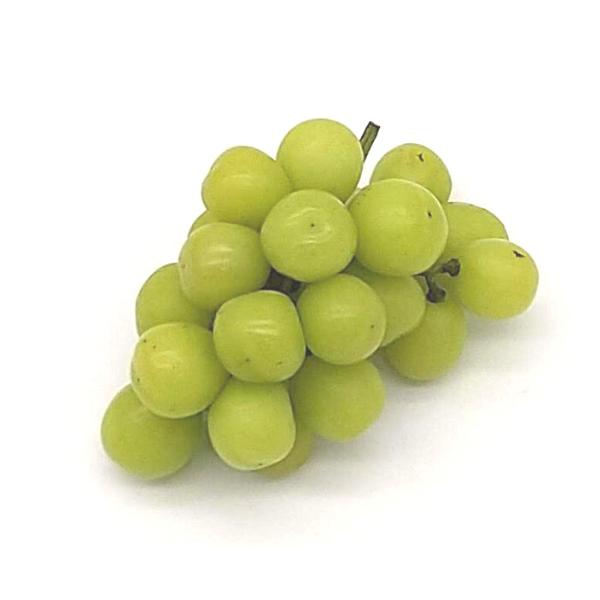 長野県産等　パック売り