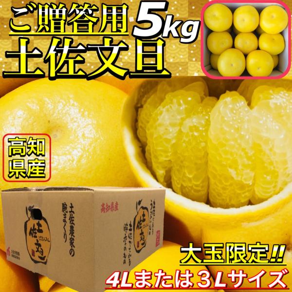 贈答用大玉限定でこのお値段は本当にお得です！！高知県産、贈答用 露地土佐文旦 約５ｋｇ 大玉4Lまたは3Lサイズどちらかをお届けさせて頂きます。このサイズは食べごたえもあり一番人気のサイズです！８〜１０玉前後入っております！ この品質でこの...