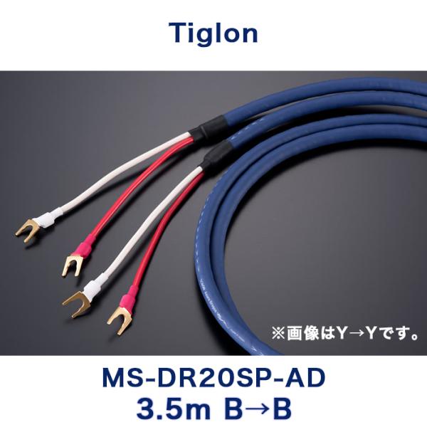 [ MS-DR20SP-AD  / TIGLON]導体に使用するDF-OFC銅を従来比15％増量し、よりダイナミックで情報量に富んだ信号伝送を実現。さらに「D-REN Pro」の制振技術を応用した「D-RENシース」を採用し、微細な振動や外...