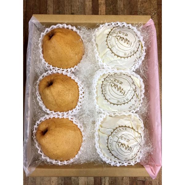 西洋梨パスクラサンヌおいしい召し上り方お送りしますパスクラサンヌは、出来るだけ小店で追熟させた梨をお送りしています。柔らかくよく熟した梨よりお召し上がりください。少し固めの梨は下記のとおり追熟させてください☆この梨は西洋梨ですのでメロンと同...