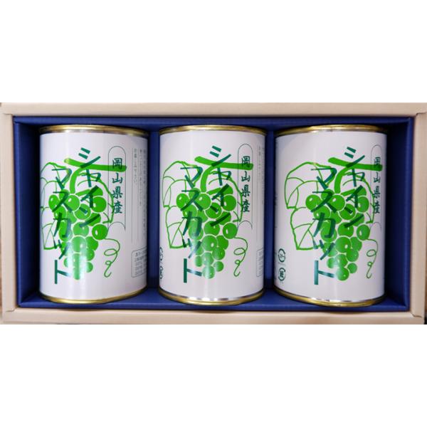 大粒な果肉とシロップが美味しくマッチングし、柔らかく、とろりとした味覚を堪能してください。ニューピオーネと清水白桃とシャインマスカットの缶詰をトッピングして 食後のデザートに、ちょっとしたパーティーにおしゃれに盛り付けてお楽しみ下さい。