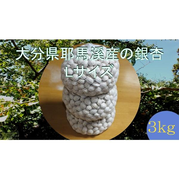 1kgでおおよそ360粒です。銀杏Lサイズのお得な3キロセットですMサイズは家庭で食べるには十分の大きさがあります。Lサイズは串刺しや茶碗蒸しなどの料理に適しています。午前中までのご注文は即日発送の予定ですが、２〜３日先の発送になることもあ...