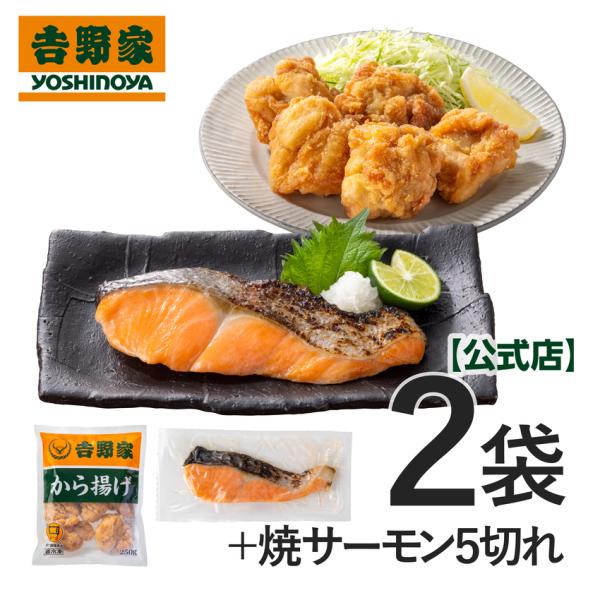 【製品仕様】名称：サーモン×5切れから揚げ２袋セット内容量：焼サーモン×5切れ、から揚げ2袋賞味期限：から揚げ：製造日含む540日（ 賞味期限残存3ヶ月以上の商品でのお届けとなります。）、焼サーモン：製造日含む545日（ 賞味期限残存3ヶ月...