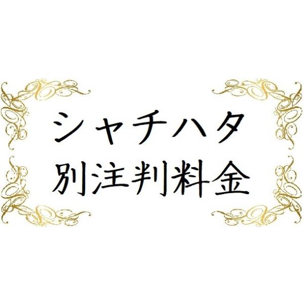 シャチハタネーム別注品購入分※弊店で販売しているシヤチハタ製品の商品(既製印面付きと掲載している商品)でネームが既製品ではなく、別注品扱いの場合こちらの商品も同梱購入をお願いいたします。こちらの商品のみの購入は受け付けておりません。予めご了...