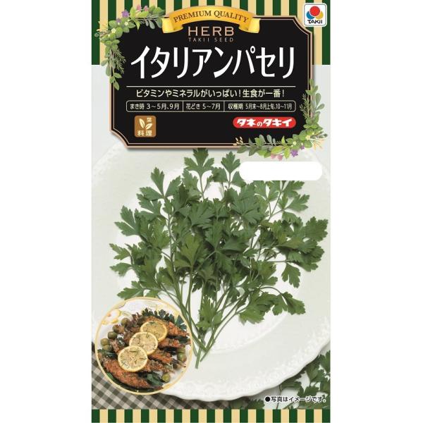 注)流動在庫につき、メーカー在庫キレ等によりご注文を キャンセルまた多少お時間頂く場合がございますので誠に恐れ入りますが、あらかじめご了承頂きますようよろしくお願い致します。注）まき時期をご確認の上、ご注文をお願い致します。 種子：1袋（約...