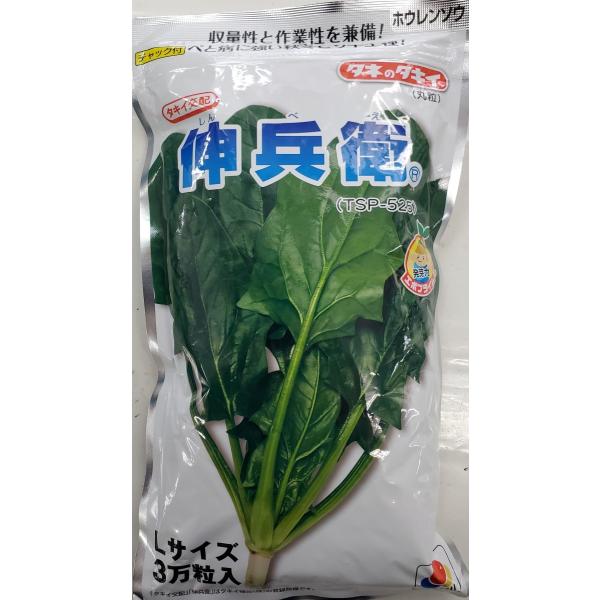注）こちらの商品は野菜の種子です。注)流動在庫につき、メーカー在庫キレ等によりご注文をキャンセルまた多少お時間頂く場合がございますので誠に恐れ入りますが、あらかじめご了承頂きますようよろしくお願い致します。注）まき時期をご確認の上、ご注文を...