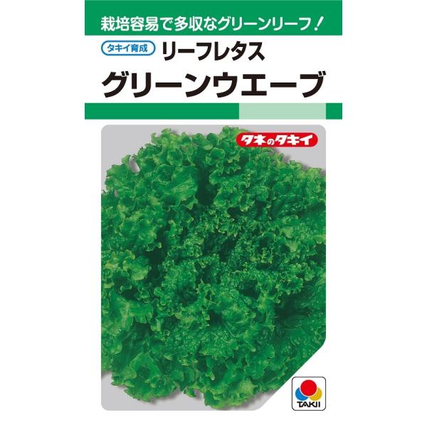 注）こちらの商品は野菜の種子です。注)流動在庫につき、メーカー在庫キレ等によりご注文を キャンセルまた多少お時間頂く場合がございますので誠に恐れ入りますが、あらかじめご了承頂きますようよろしくお願い致します。注）まき時期をご確認の上、ご注文...