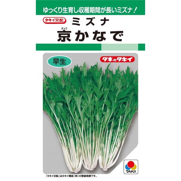 注）こちらの商品は野菜の種子です。注)メーカー在庫キレ、新種待ち等によりご注文を キャンセルまた多少お時間頂く場合がございますので誠に恐れ入りますが、あらかじめご了承頂きますようよろしくお願い致します。注）まき時期をご確認の上、ご注文をお願...