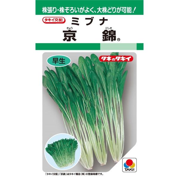 注）こちらの商品は野菜の種子です。注)メーカー在庫キレ、新種待ち等によりご注文を キャンセルまた多少お時間頂く場合がございますので誠に恐れ入りますが、あらかじめご了承頂きますようよろしくお願い致します。注）まき時期をご確認の上、ご注文をお願...