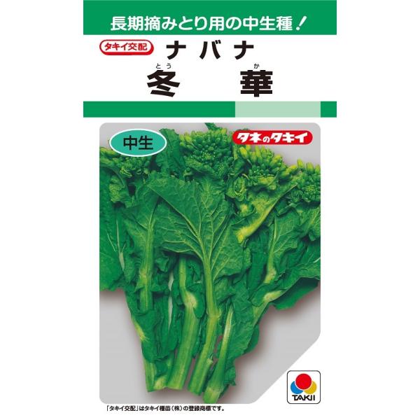 注）こちらの商品は野菜の種子です。注)メーカー在庫キレ、新種待ち等によりご注文を キャンセルまた多少お時間頂く場合がございますので誠に恐れ入りますが、あらかじめご了承頂きますようよろしくお願い致します。注）まき時期をご確認の上、ご注文をお願...