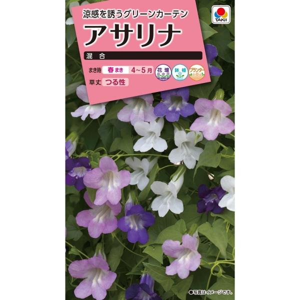 注）こちらの商品は花の種子です。注)メーカー在庫キレ、新種待ち等によりご注文を キャンセルまた多少お時間頂く場合がございますので誠に恐れ入りますが、あらかじめご了承頂きますようよろしくお願い致します。納期お急ぎの場合は前もってお問い合わせく...