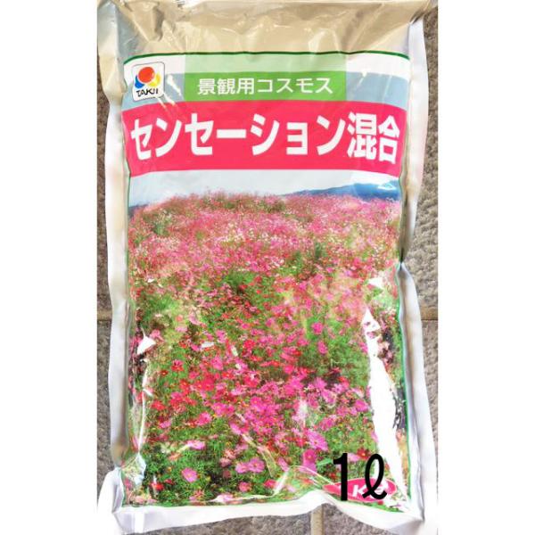 注）こちらの商品は花の種子です。タキイの種子を当店小分けで出荷します。お届けの袋は商品画像とは異なります。花種　景観用コスモス　センセーション混合　1Ｌ 約500ｇです播種期：3〜8月発芽温度：15〜25℃播種量:直播：1.0〜1.3kg／...