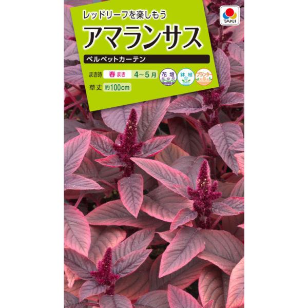 注）こちらの商品は花の種子です。注)メーカー在庫キレ、新種待ち等によりご注文を キャンセルまた多少お時間頂く場合がございますので誠に恐れ入りますが、あらかじめご了承頂きますようよろしくお願い致します。納期お急ぎの場合は前もってお問い合わせく...