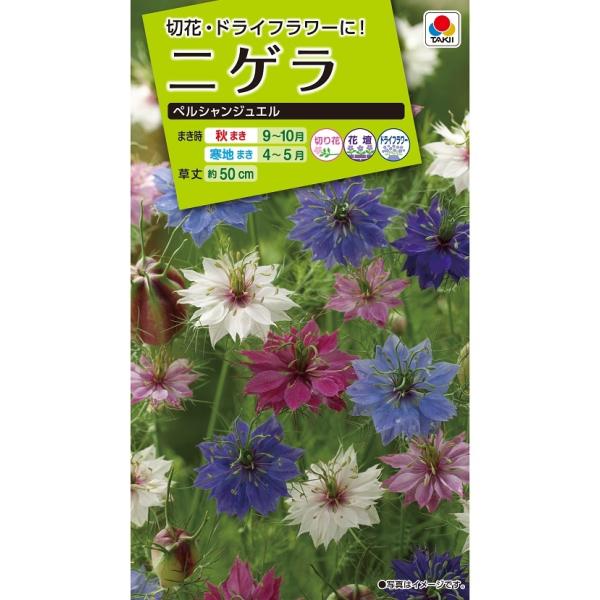 注）こちらの商品は花の種子です。注)メーカー在庫キレ、新種待ち等によりご注文を キャンセルまた多少お時間頂く場合がございますので誠に恐れ入りますが、あらかじめご了承頂きますようよろしくお願い致します。納期お急ぎの場合は前もってお問い合わせく...