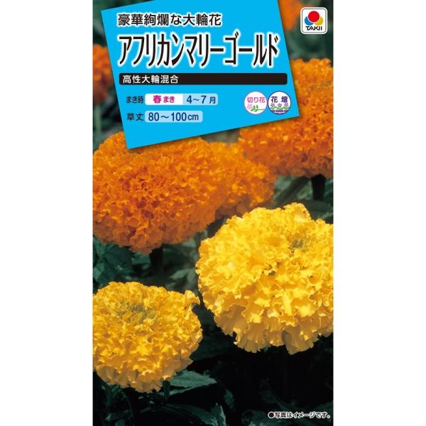 注）こちらの商品は花の種子です。注)メーカー在庫キレ、新種待ち等によりご注文を キャンセルまた多少お時間頂く場合がございますので誠に恐れ入りますが、あらかじめご了承頂きますようよろしくお願い致します。納期お急ぎの場合は前もってお問い合わせく...
