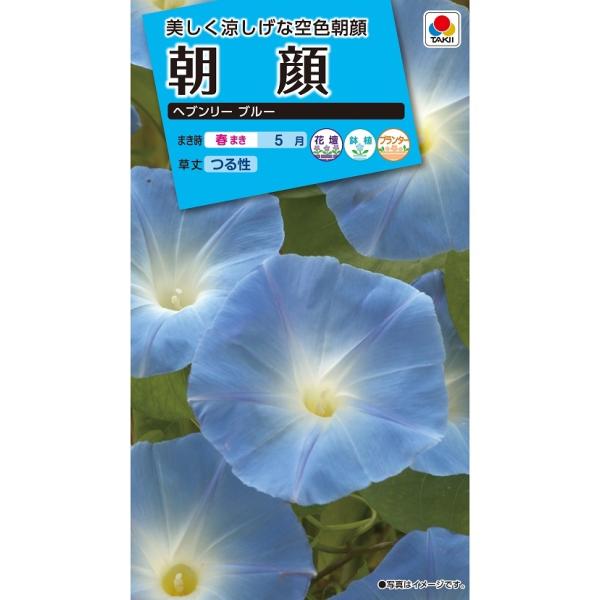 注）こちらの商品は花の種子です。注)メーカー在庫キレ、新種待ち等によりご注文を キャンセルまた多少お時間頂く場合がございますので誠に恐れ入りますが、あらかじめご了承頂きますようよろしくお願い致します。納期お急ぎの場合は前もってお問い合わせく...