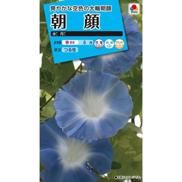 注）こちらの商品は花の種子です。注)メーカー在庫キレ、新種待ち等によりご注文を キャンセルまた多少お時間頂く場合がございますので誠に恐れ入りますが、あらかじめご了承頂きますようよろしくお願い致します。納期お急ぎの場合は前もってお問い合わせく...