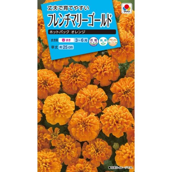 注）こちらの商品は花の種子です。注)メーカー在庫キレ、新種待ち等によりご注文を キャンセルまた多少お時間頂く場合がございますので誠に恐れ入りますが、あらかじめご了承頂きますようよろしくお願い致します。納期お急ぎの場合は前もってお問い合わせく...