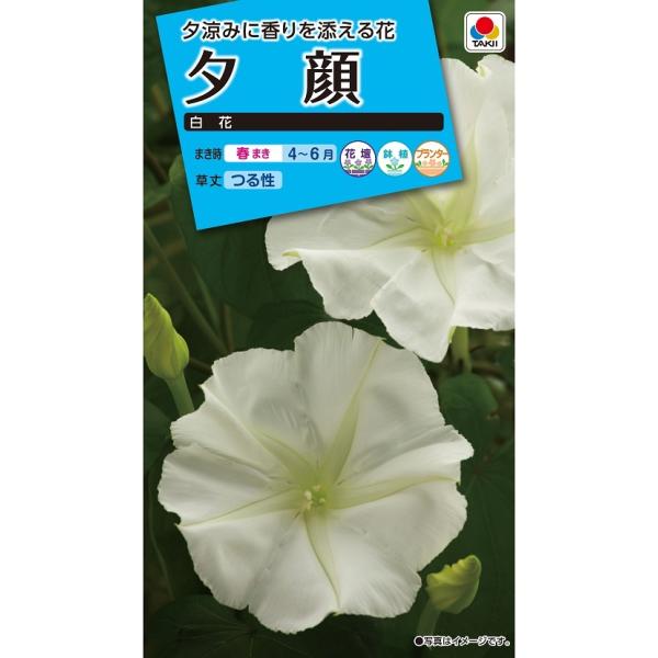 注）こちらの商品は花の種子です。注)メーカー在庫キレ、新種待ち等によりご注文を キャンセルまた多少お時間頂く場合がございますので誠に恐れ入りますが、あらかじめご了承頂きますようよろしくお願い致します。納期お急ぎの場合は前もってお問い合わせく...